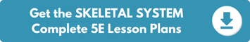 Skeletal System Lesson Plan - A Complete 5E Method Science Unit