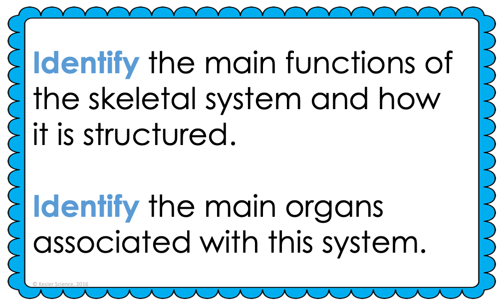 Skeletal System Lesson Plan - A Complete 5E Method Science Unit