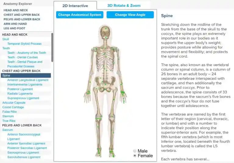 Skeletal System Lesson Plan - A Complete 5E Method Science Unit
