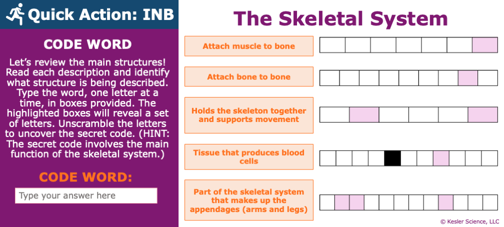 Skeletal System Lesson Plan - A Complete 5E Method Science Unit