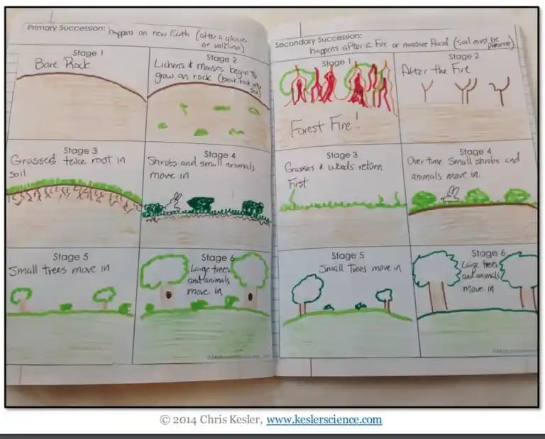 Succession Lesson Plan – A Complete 5E Method Science Unit