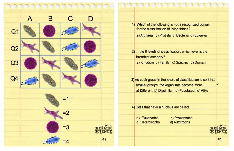 Escape Room Puzzle Ideas for the Science Classroom