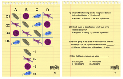 Escape Room Puzzle Ideas for the Science Classroom