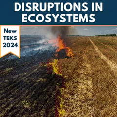 New Texas TEKS Standards