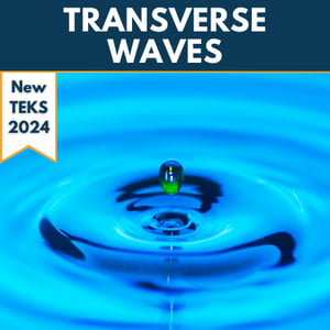 New Texas TEKS Standards