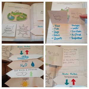 Interactions in an Ecosystem Interactive Notebook Pages