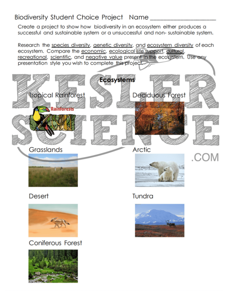 BIODIVERSITY LESSON PLAN – A COMPLETE SCIENCE LESSON USING THE 5E ...
