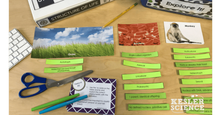 CHARACTERISTICS OF ORGANISMS LESSON PLAN – A COMPLETE SCIENCE LESSON ...