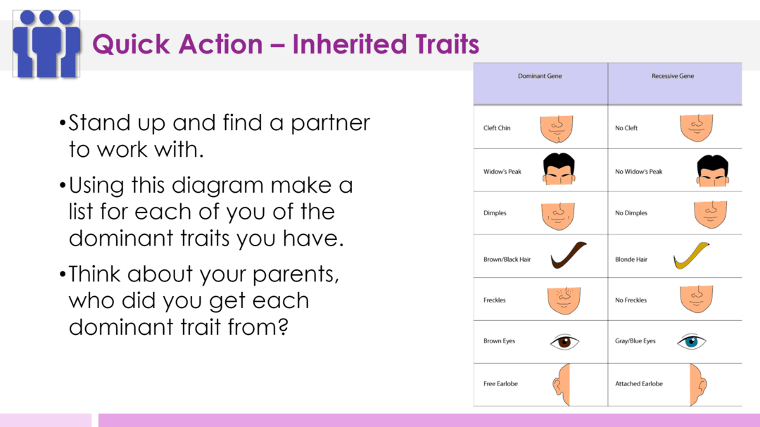 INHERITED TRAITS LESSON PLAN – A COMPLETE SCIENCE LESSON USING THE 5E ...