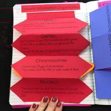 INHERITED TRAITS LESSON PLAN – A COMPLETE SCIENCE LESSON USING THE 5E ...