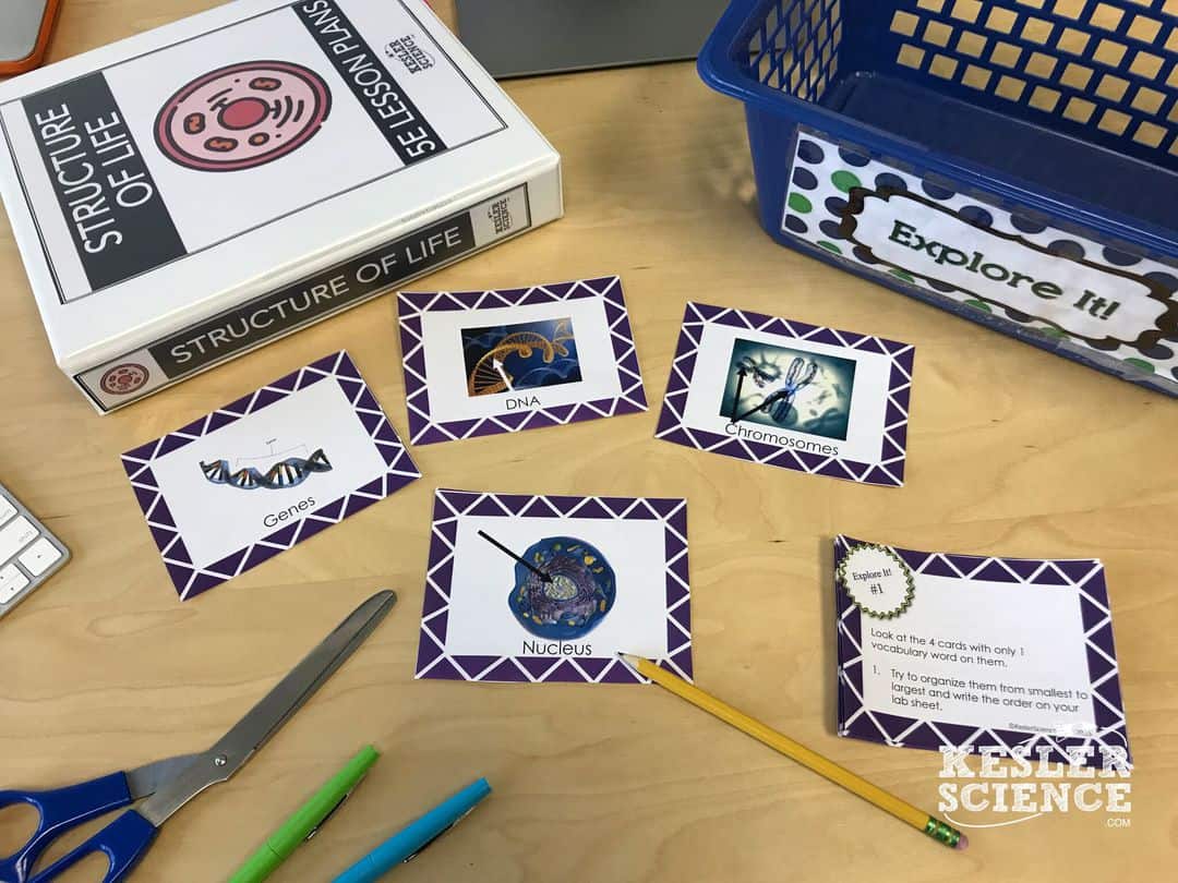 INHERITED TRAITS LESSON PLAN – A COMPLETE SCIENCE LESSON USING THE 5E ...