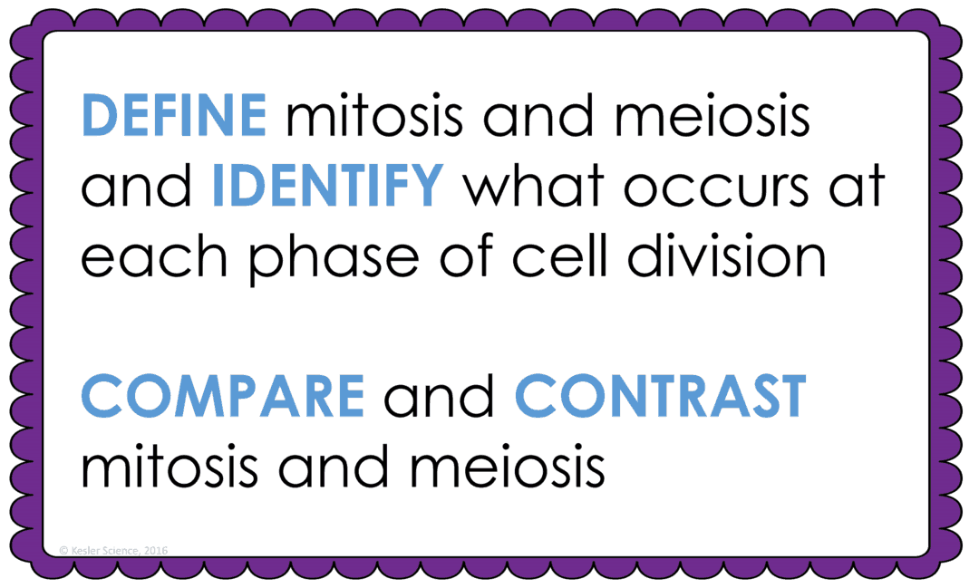 MITOSIS AND MEIOSIS LESSON PLAN – A COMPLETE SCIENCE LESSON USING THE ...