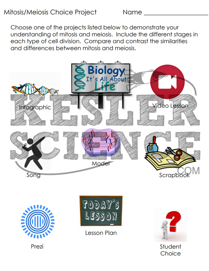 MITOSIS AND MEIOSIS LESSON PLAN – A COMPLETE SCIENCE LESSON USING THE ...
