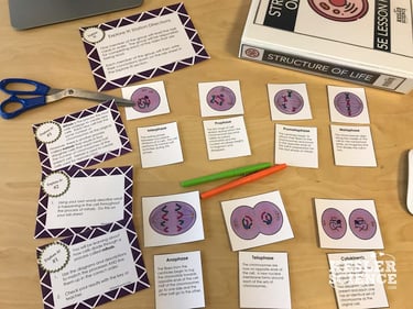 MITOSIS AND MEIOSIS LESSON PLAN – A COMPLETE SCIENCE LESSON USING THE ...