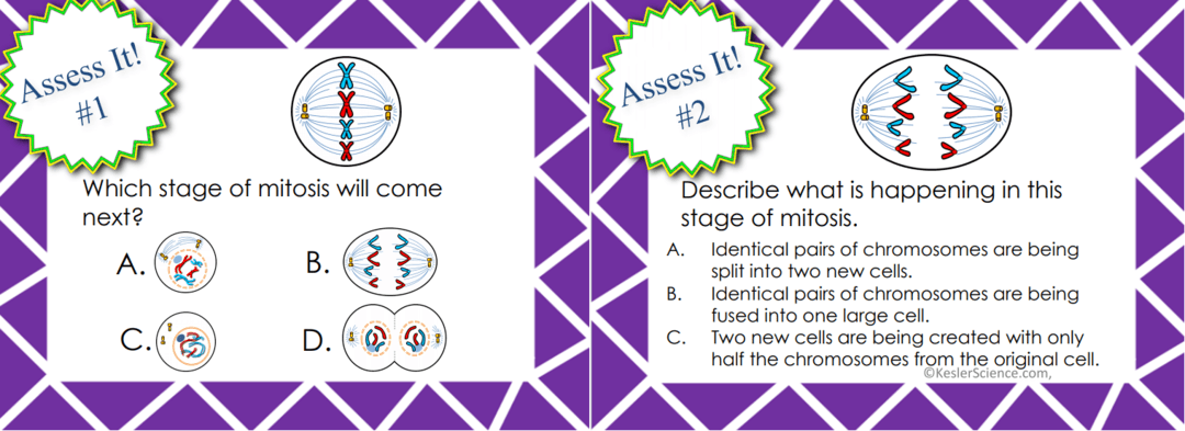 MITOSIS AND MEIOSIS LESSON PLAN – A COMPLETE SCIENCE LESSON USING THE ...