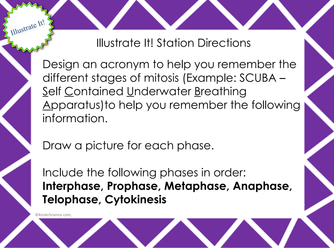 MITOSIS AND MEIOSIS LESSON PLAN – A COMPLETE SCIENCE LESSON USING THE ...