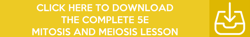 MITOSIS AND MEIOSIS LESSON PLAN – A COMPLETE SCIENCE LESSON USING THE ...