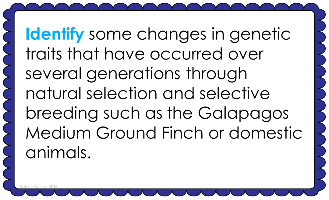 NATURAL SELECTION LESSON PLAN – A COMPLETE SCIENCE LESSON USING THE 5E ...