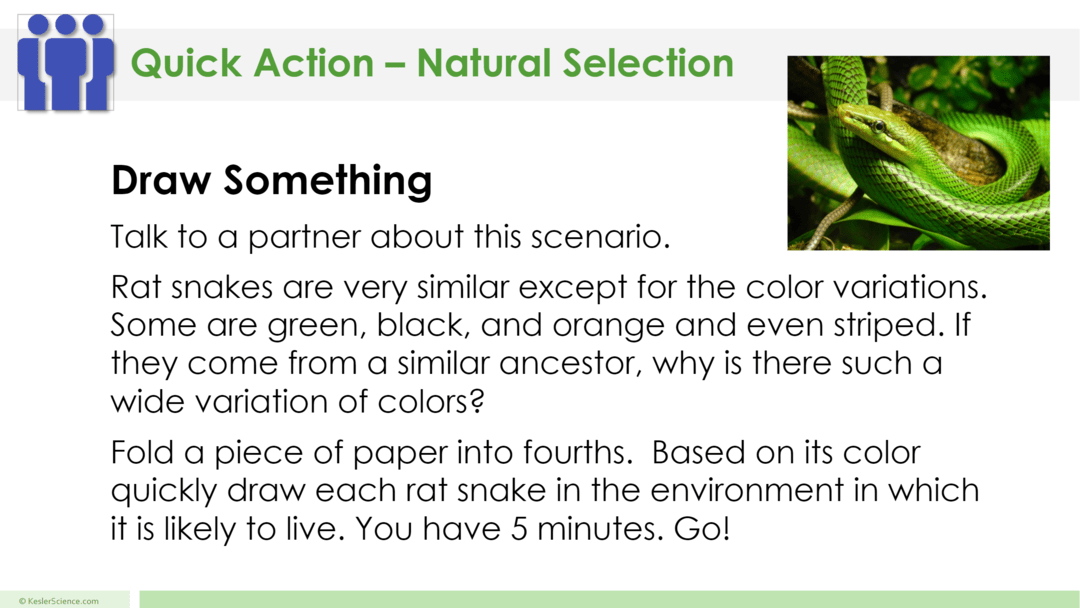 NATURAL SELECTION LESSON PLAN – A COMPLETE SCIENCE LESSON USING THE 5E ...
