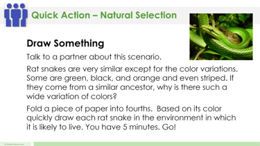 NATURAL SELECTION LESSON PLAN – A COMPLETE SCIENCE LESSON USING THE 5E ...