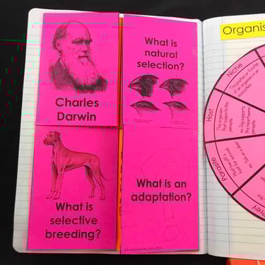 NATURAL SELECTION LESSON PLAN – A COMPLETE SCIENCE LESSON USING THE 5E ...