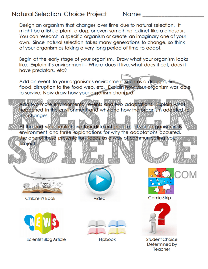 NATURAL SELECTION LESSON PLAN – A COMPLETE SCIENCE LESSON USING THE 5E ...