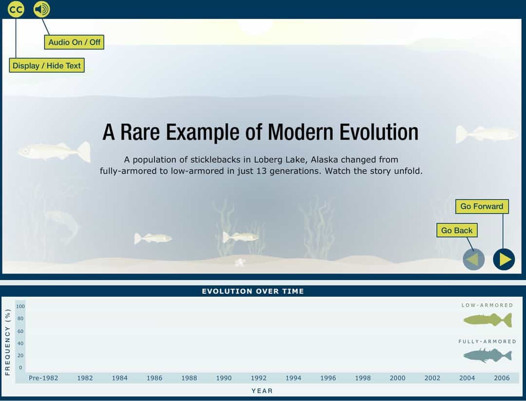 NATURAL SELECTION LESSON PLAN – A COMPLETE SCIENCE LESSON USING THE 5E ...