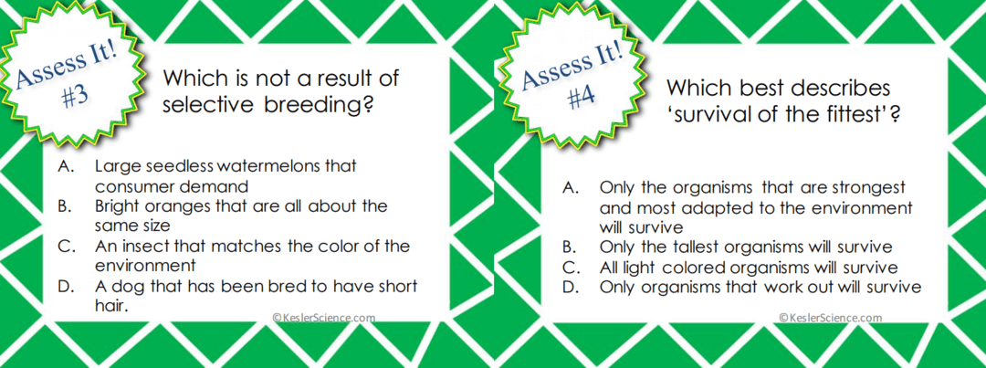 NATURAL SELECTION LESSON PLAN – A COMPLETE SCIENCE LESSON USING THE 5E ...