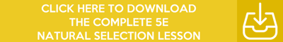 NATURAL SELECTION LESSON PLAN – A COMPLETE SCIENCE LESSON USING THE 5E ...