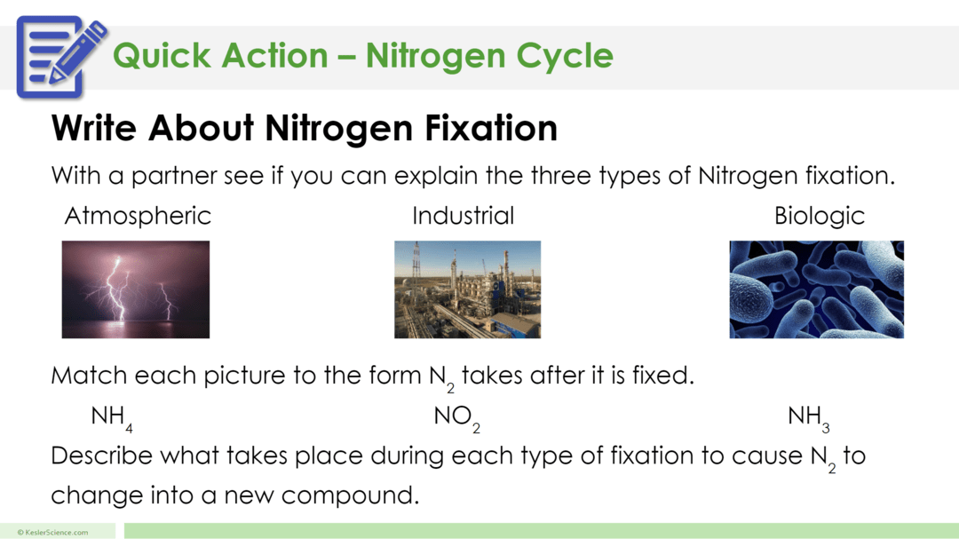 NITROGEN CYCLE LESSON PLAN – A COMPLETE SCIENCE LESSON USING THE 5E ...
