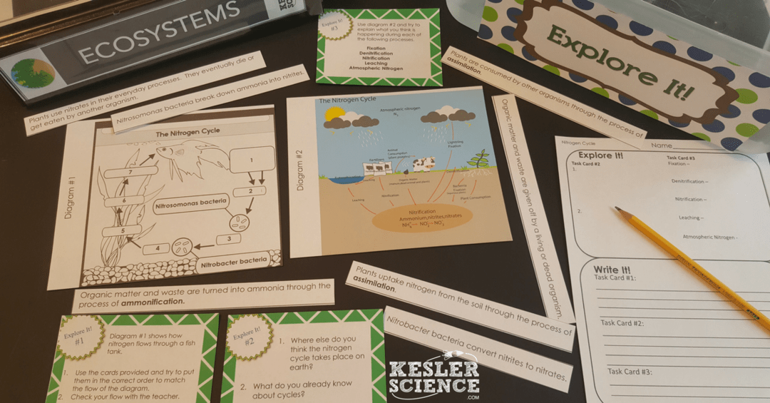 NITROGEN CYCLE LESSON PLAN – A COMPLETE SCIENCE LESSON USING THE 5E ...