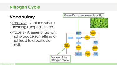 NITROGEN CYCLE LESSON PLAN – A COMPLETE SCIENCE LESSON USING THE 5E ...