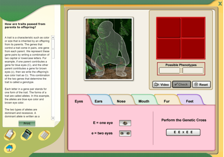 GENETICS LESSON PLAN – A COMPLETE SCIENCE LESSON USING THE 5E METHOD OF ...
