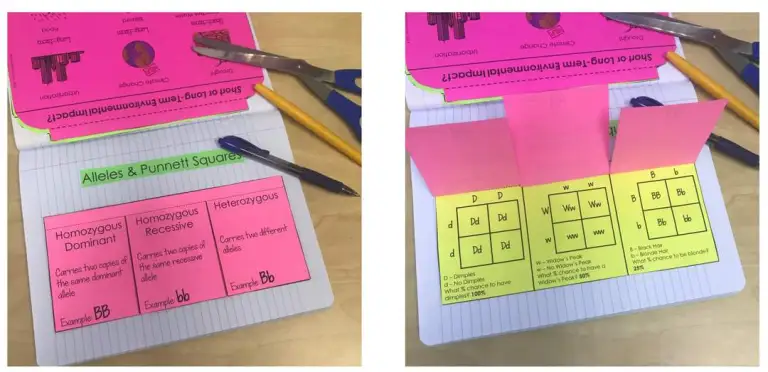 GENETICS LESSON PLAN – A COMPLETE SCIENCE LESSON USING THE 5E METHOD OF ...