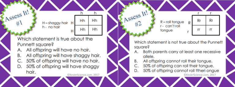 GENETICS LESSON PLAN – A COMPLETE SCIENCE LESSON USING THE 5E METHOD OF ...