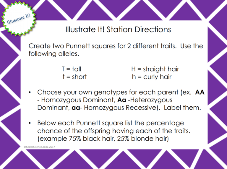 GENETICS LESSON PLAN – A COMPLETE SCIENCE LESSON USING THE 5E METHOD OF ...