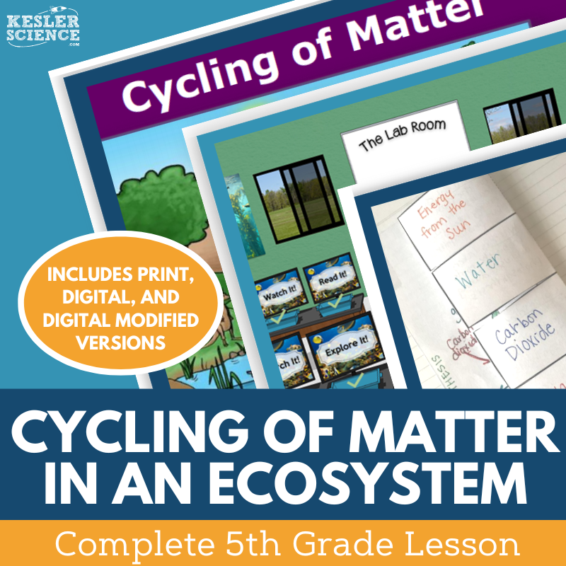 Cycling of Matter in an Ecosystem Activities for 5th Grade Science