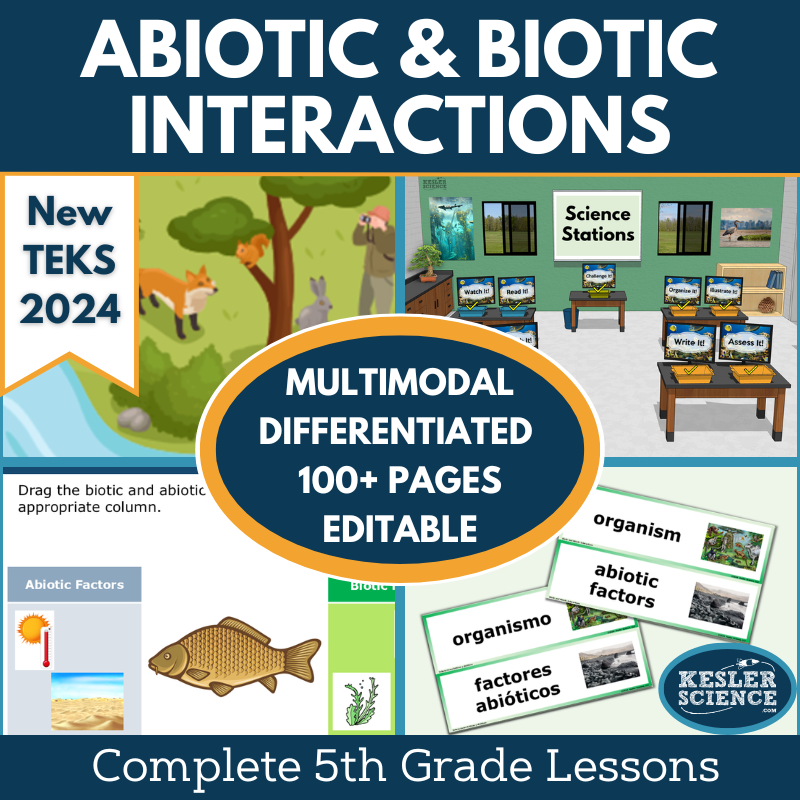 TEKS 5.12A Biotic & Abiotic Interactions Activities, 5th Grade Science