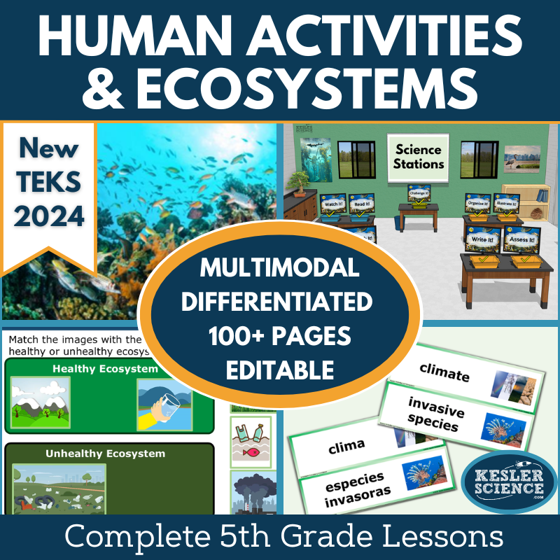 TEKS 5.12C Human Activities & Ecosystems Activities 5th Grade Science