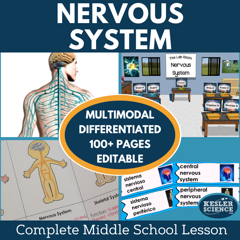 NGSS - Stimuli & Sensory Receptors Activities Middle School Science
