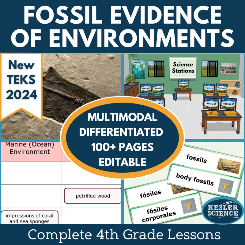 TEKS 4.12C Fossil Evidence of Environments for 4th Grade Science