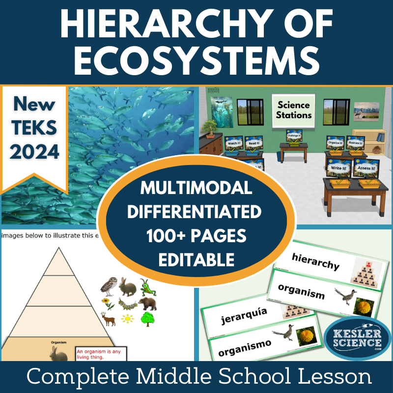 TEKS 6.12C Hierarchy of Ecosystems Activities Middle School Science
