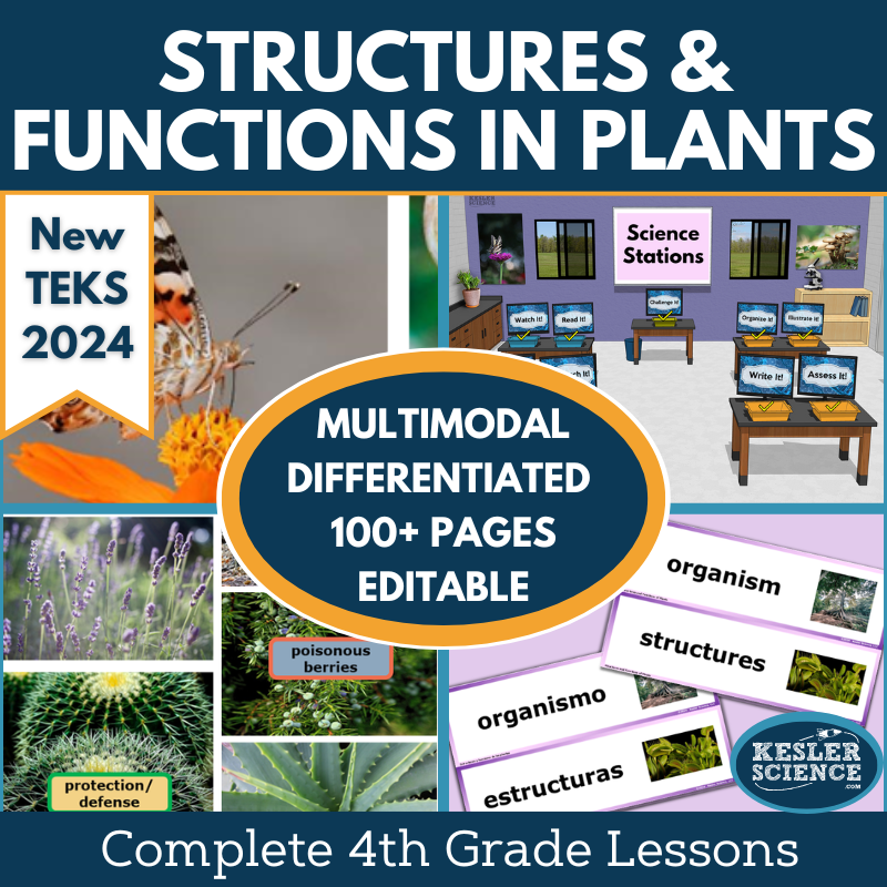 TEKS 4.13A Structures & Functions of Plants for 4th Grade Science