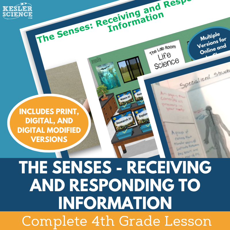 NGSS - Animal Senses Activities for 4th Grade Science
