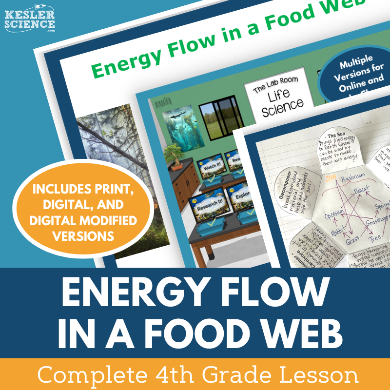 Energy Flow in a Food Web Activities for 4th Grade Science