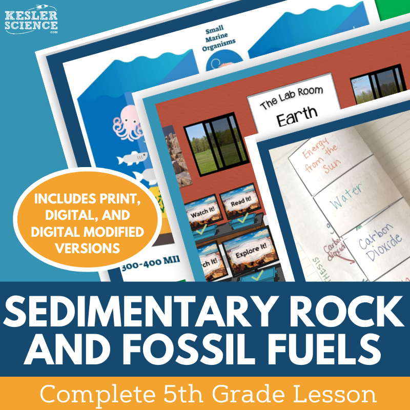 Sedimentary Rock and Fossil Fuels Activities for 5th Grade Science