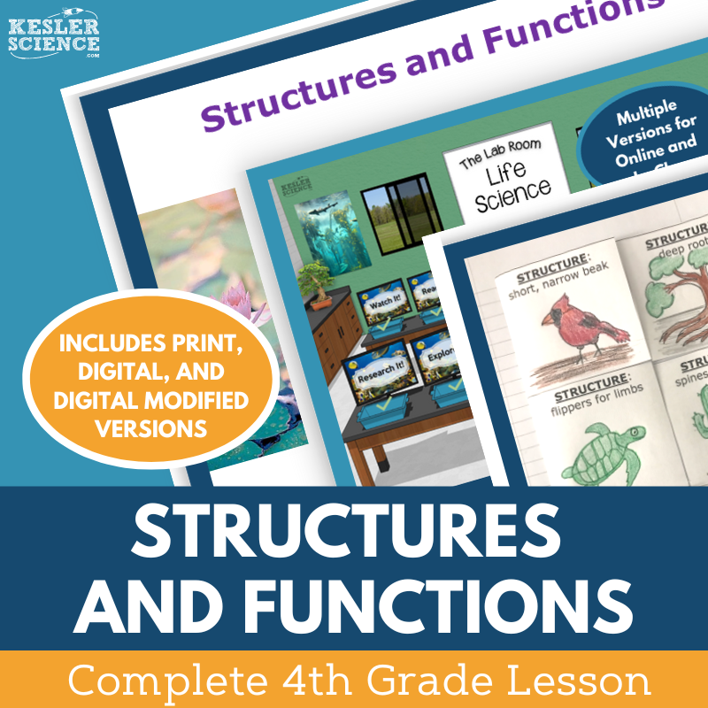 Structures and Functions Activities for 4th Grade Science