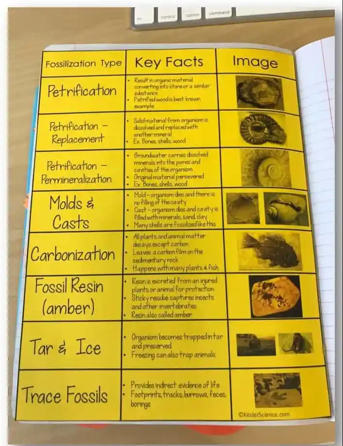 Fossils Lesson Plan – A Complete 5E Method Science Unit