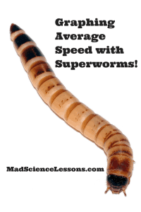 Graphing Average Speed with Superworms