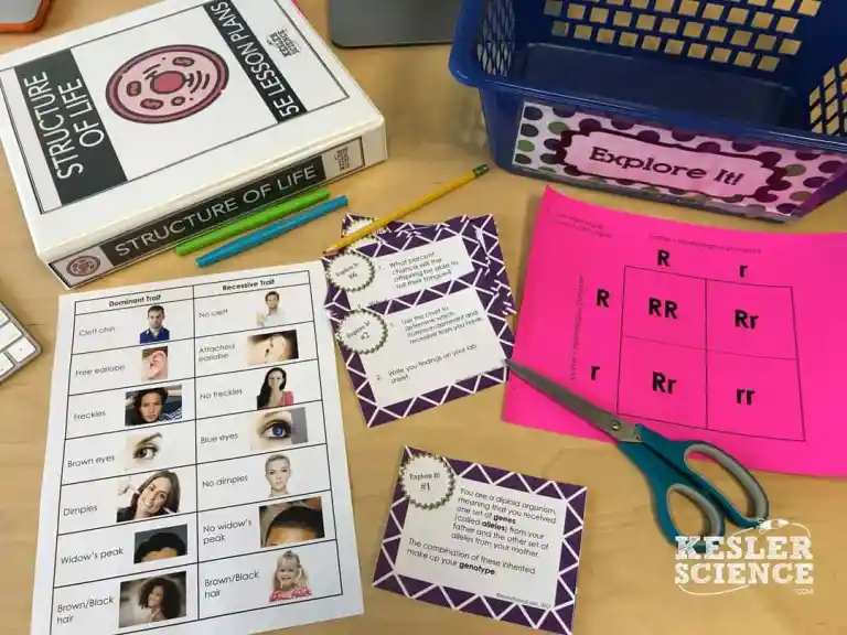 GENETICS LESSON PLAN – A COMPLETE SCIENCE LESSON USING THE 5E METHOD OF ...